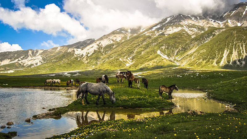 10 Interesting Facts About Abruzzo | Essential Italy