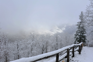 4 Things to Discover in Tuscany this Winter | Essential Italy