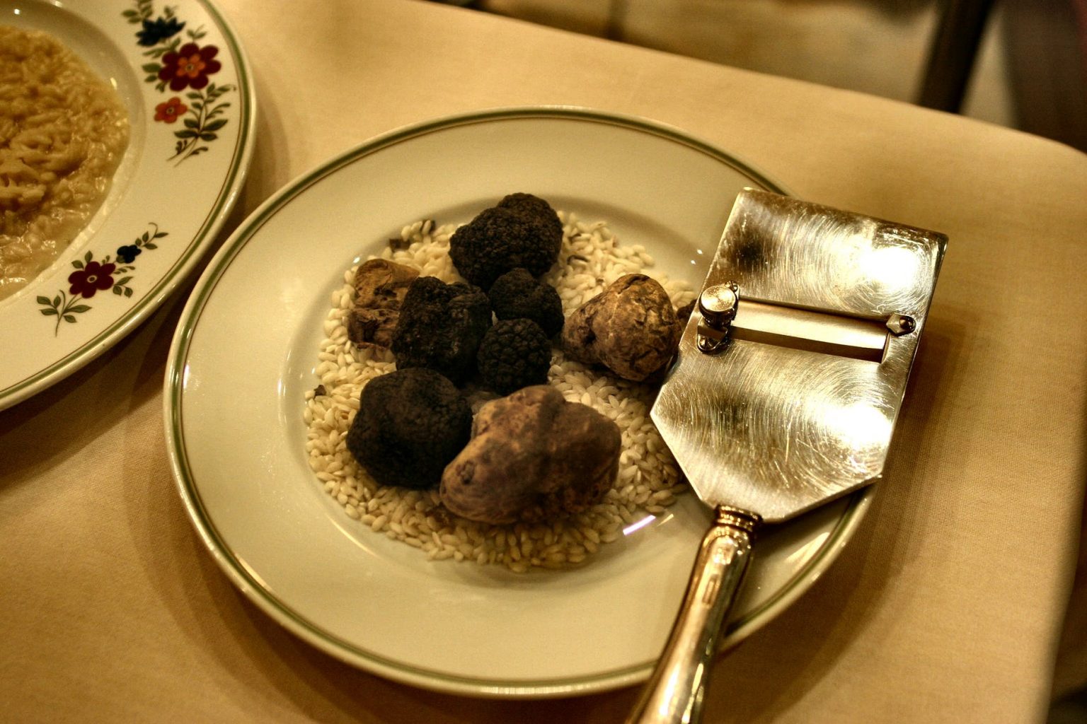 Truffle Season in Italy | Essential Italy